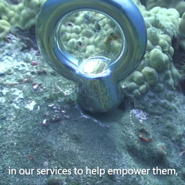 Customer story: Jack's Diving Locker - Intrious